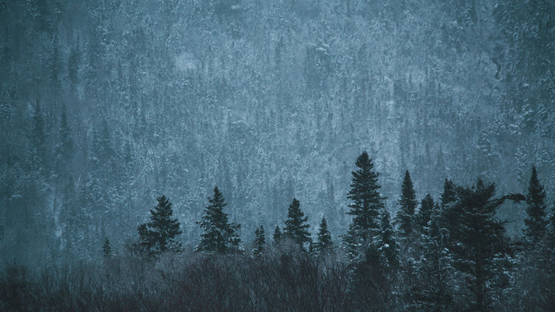 Winter Storm Batters Eastern US: Heavy Snow, Freezing Rain Disrupt ...