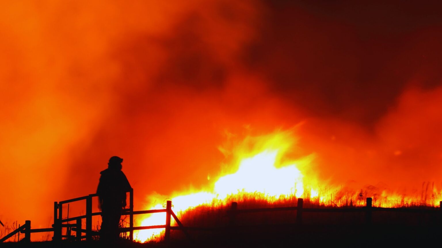 How Indigenous Fire Practices Can Restore Ecosystems and Reduce ...
