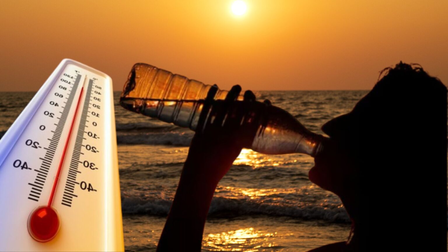Goa reels under record heat index of 47.8°C, authorities urge ...