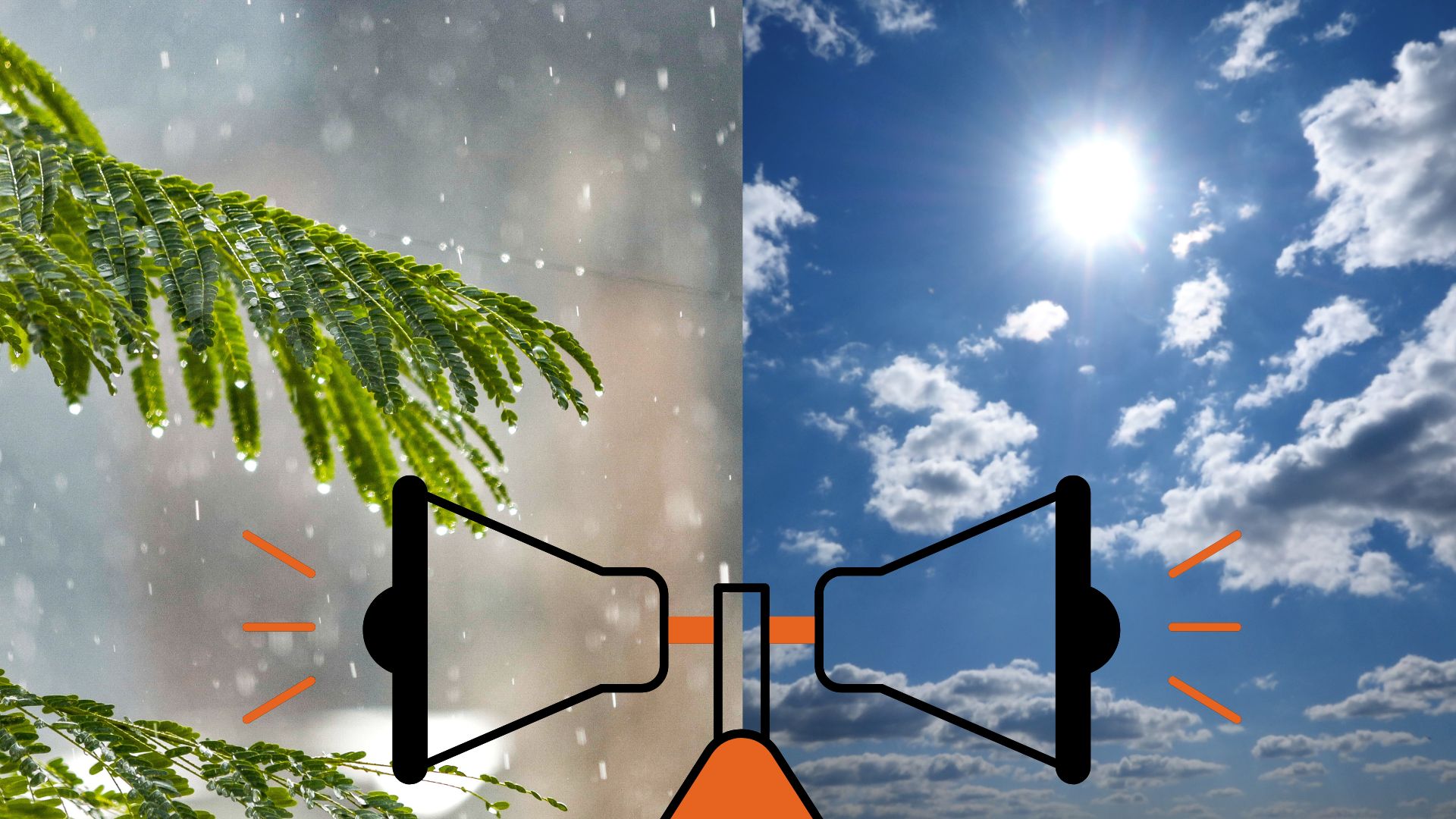 New Study Links Rainfall Patterns to Deadly Humid heatwaves, opening ...